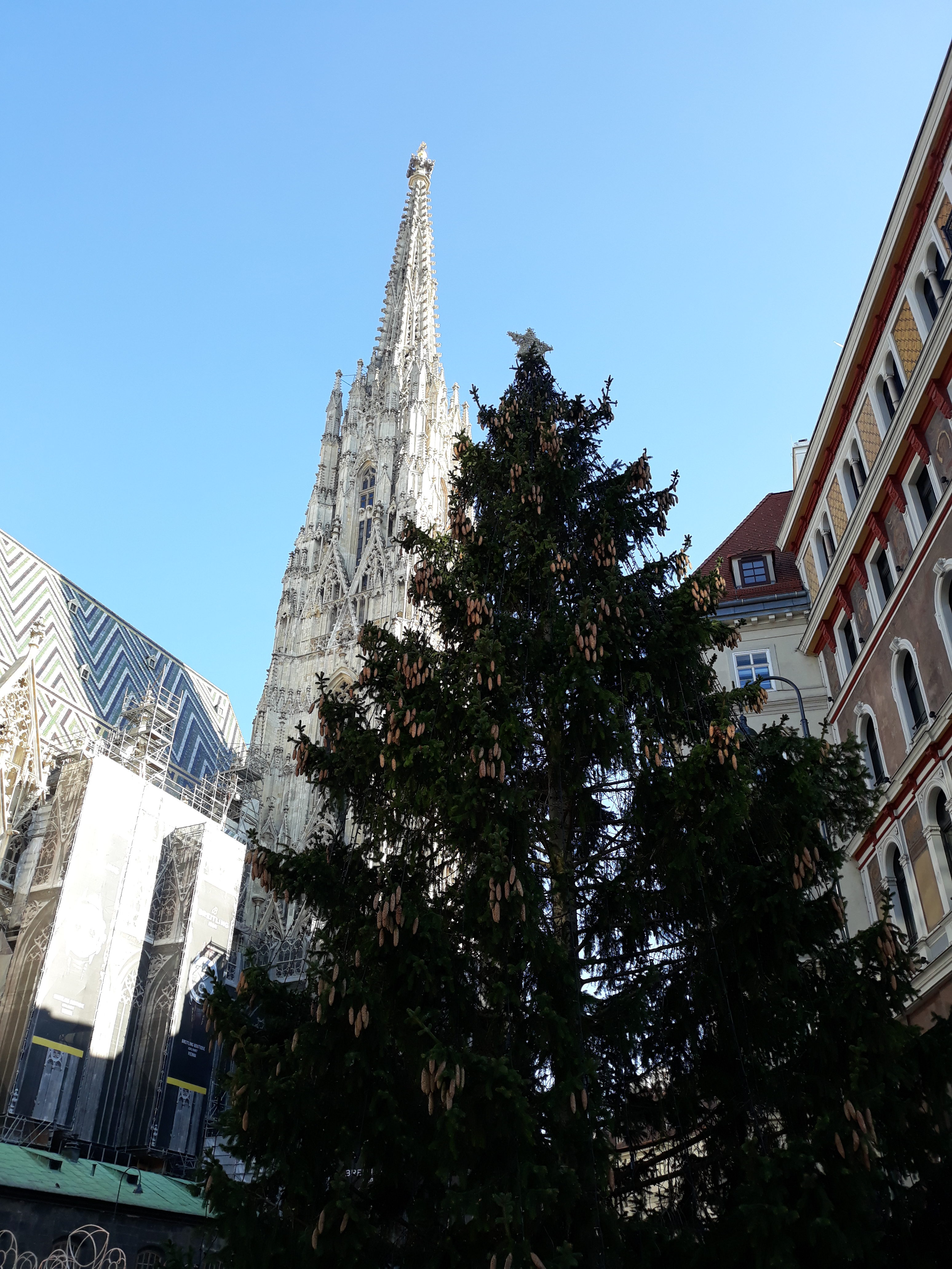EHA » Vienna Xmas tree 2018